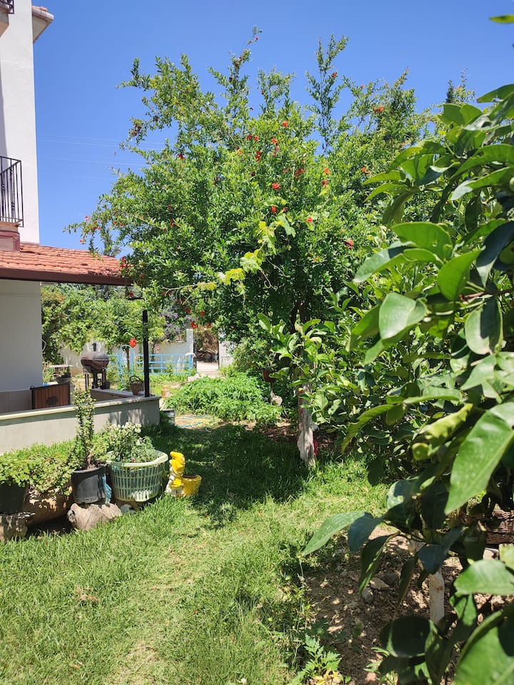 Müstakil Bahçeli Ev - Datça
