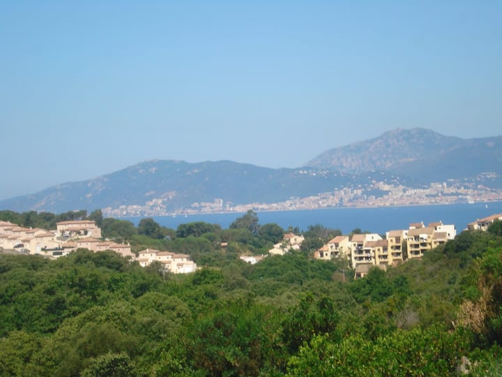 Charmant T2 A Porticcio, Avec Superbe Vue Mer - Porticcio