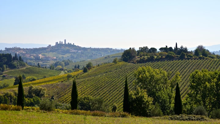 Laura's Farm - San Gimignano