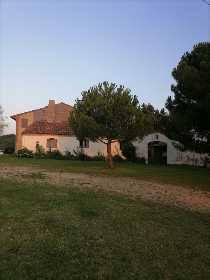 Vue  Pyrénées Coteaux  Entre Pamiers Et Mas D'azil - Ariège