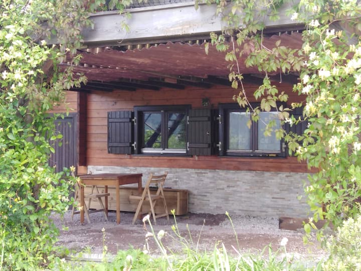 Le Studio De Polochon - Xonrupt-Longemer