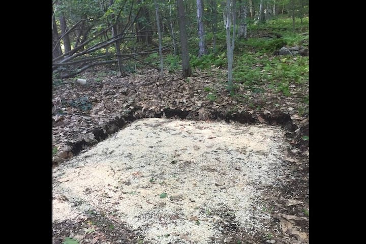 Campsite In The Woods - North Adams, MA