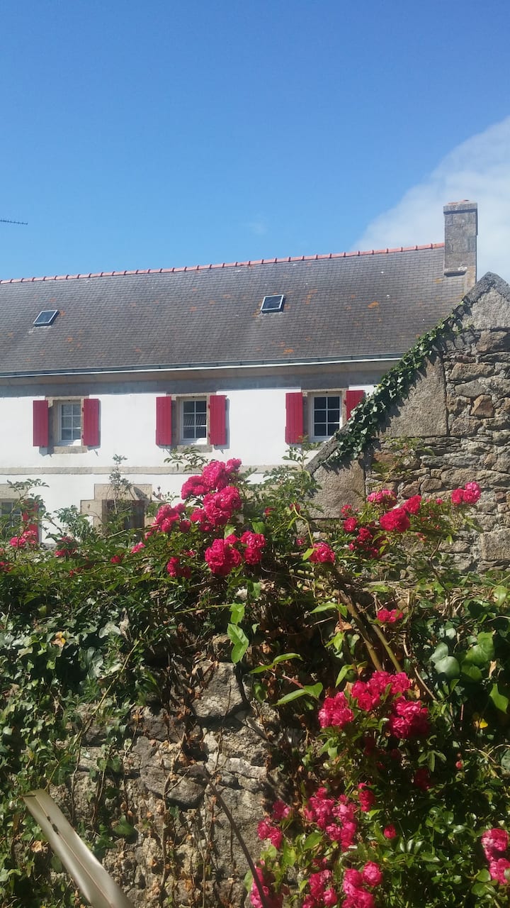 Belle Demeure Sur La Falaise - Île de Sein