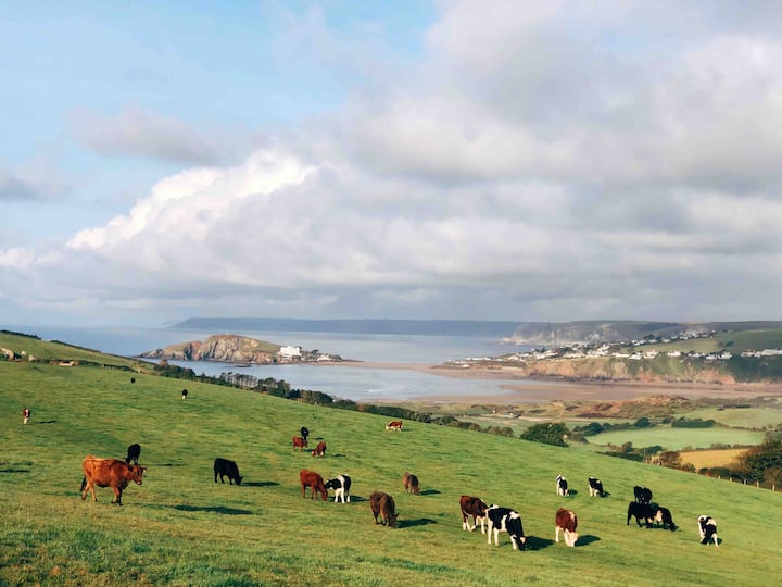 Bantham Beach Pad With Views To Burgh Island - Thurlestone