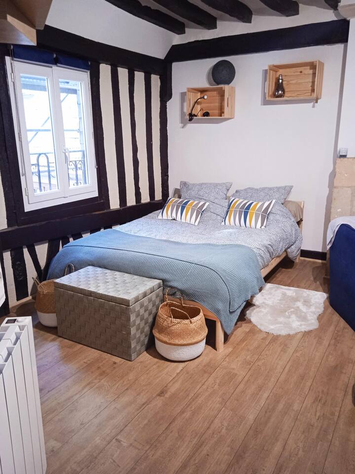 Studio De Charme Plein Centre - Rue Ecuyère - Caen