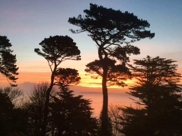 Lantallic Garden Apartment, St.ives Tr262aq - Carbis Bay