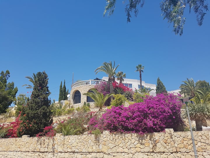 Gran Paraiso De Coveta - El Campello
