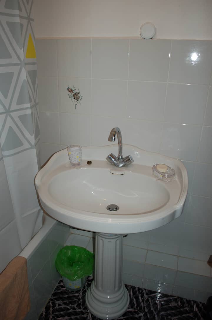 Appartement En Rez De Jardin D'une Maison - Échirolles