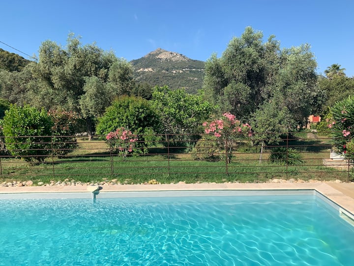 Villa Avec Piscine Privee - 4 Chambres - L'Île-Rousse