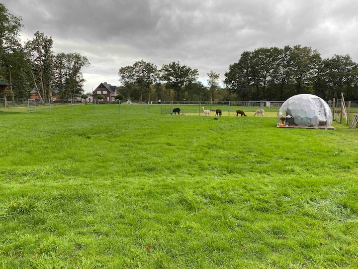 Beautiful And Unique Stay At 'De Sterrenwacht' - Herentals