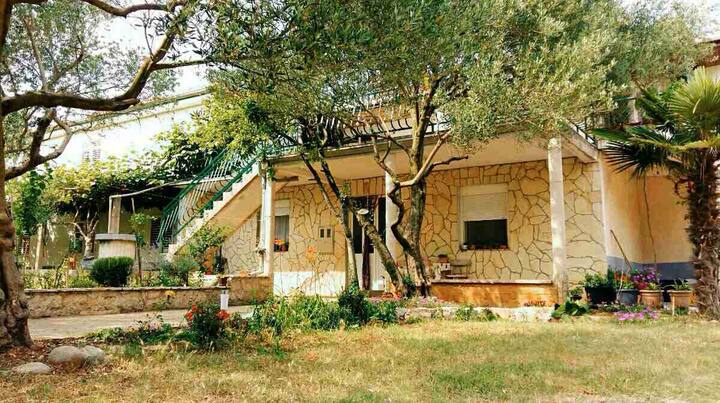 Apartments D&m Petra - Sveti Filip i Jakov
