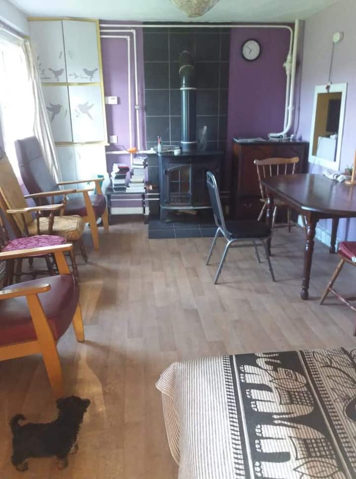 Castletownmoor Clinic & Permaculture Farm Twin/dbl - Kells