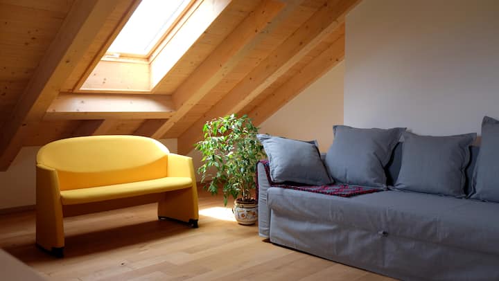 Deluxe Apartment In The Heart Of Dolomites - Belluno, Italia