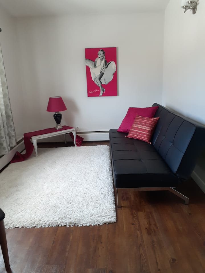 17th Ave Area- Topnotch/topfloor - Calgary