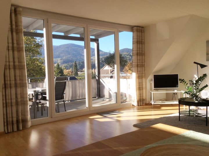 Duplex-apartment 120m² (Freiburg 8 Km) - Kirchzarten