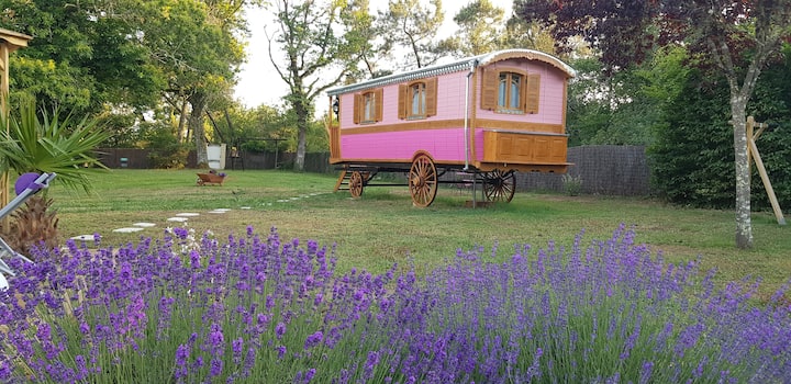 La Roulotte  " O Bois D'mon Coeur" - Charente-Maritime