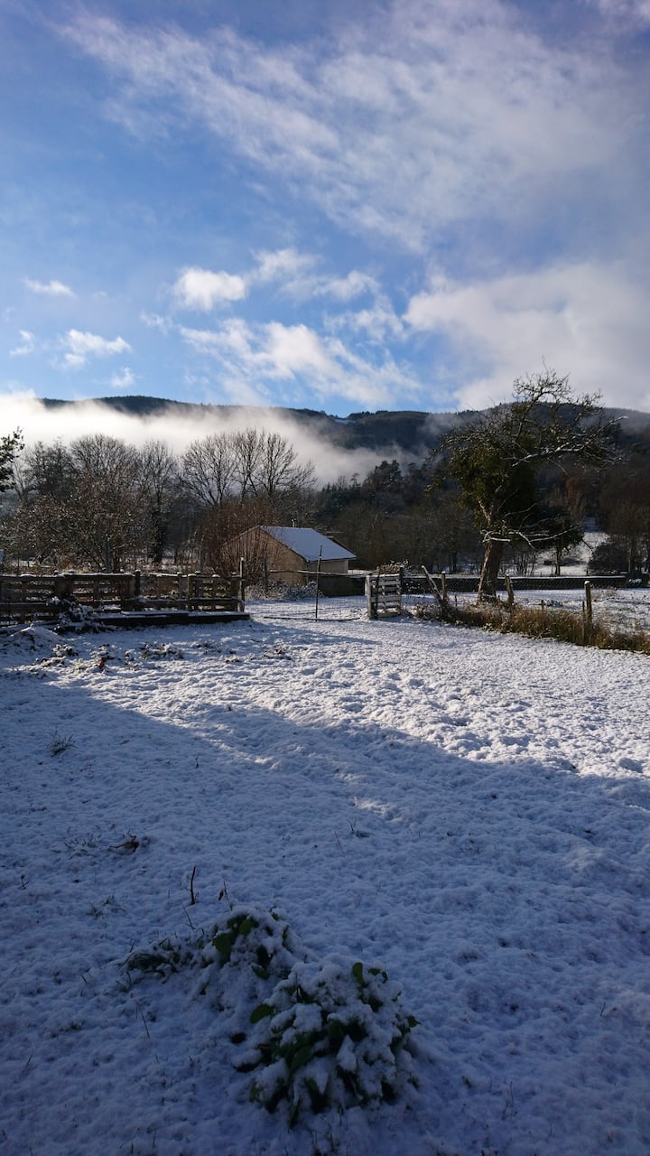 Chez Philopin - Saint-Nectaire