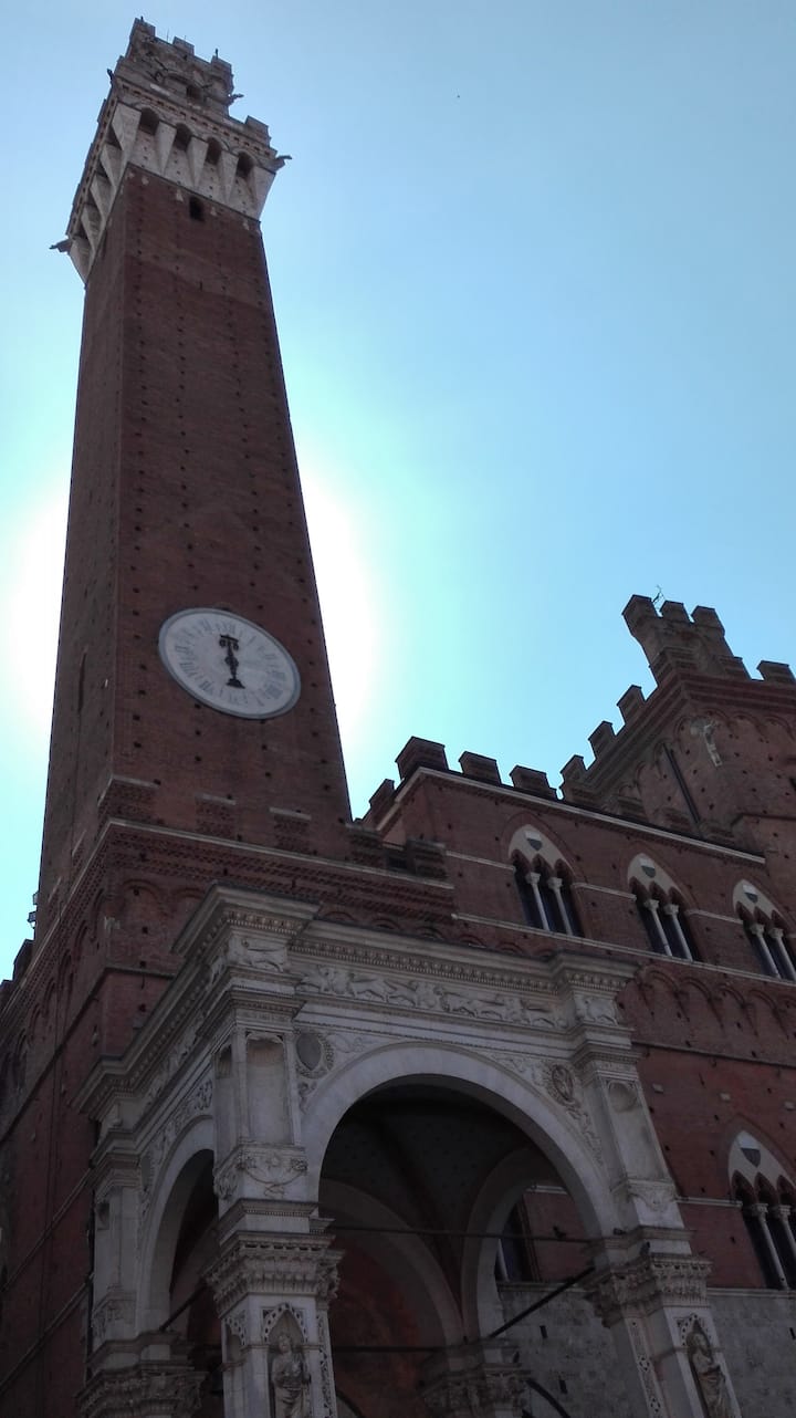 Tranquillità Dietro Piazza Del Campo - Siena