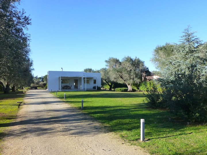 Villa A Mesagne, Vacanze In Puglia - Mesagne