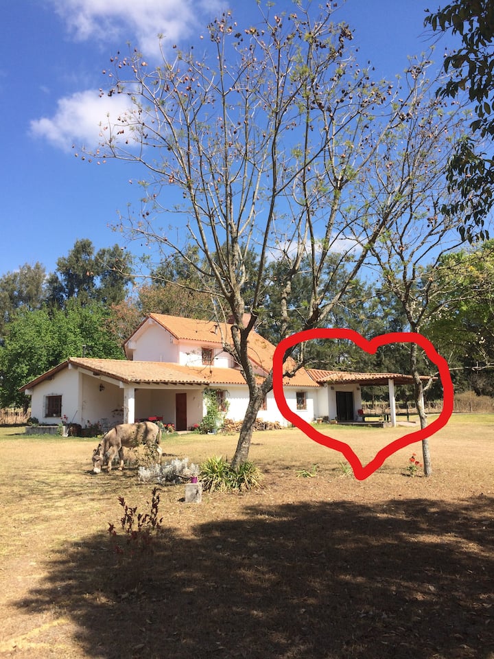 Departamento Anexo De Rincon Del Alma - Rosario de Lerma