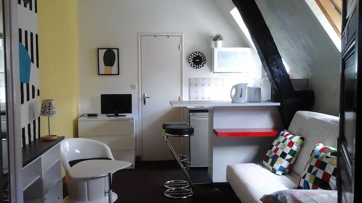Studio Dans Maison Tourangelle - Joué-lès-Tours