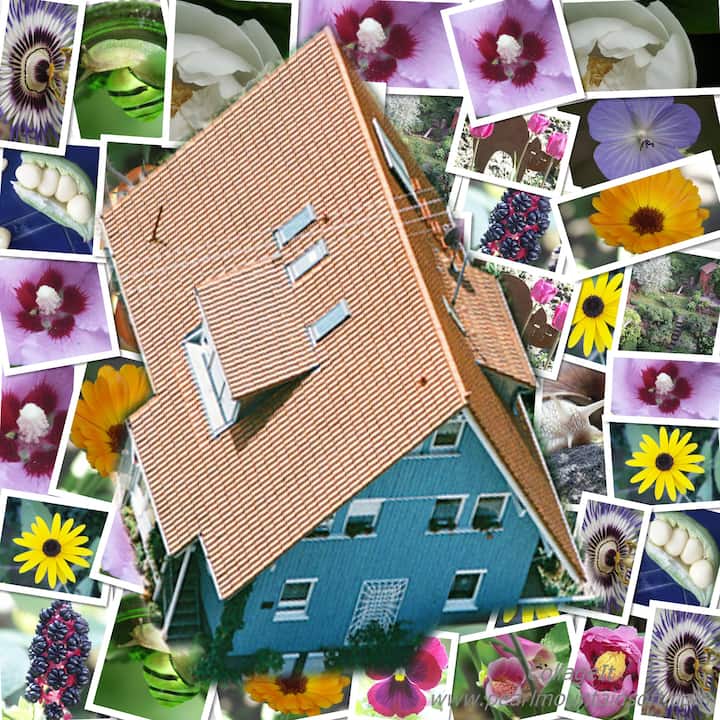 Ferienwohnung Fuxbau Im Bio Holzhaus (2 - 3 Pers.) - Herbolzheim