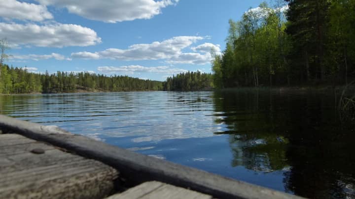 Cottage By Lake, Sauna And Boat - Juupajoki