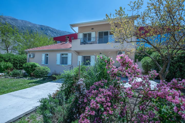 Garden Apartment 2 - Kotor