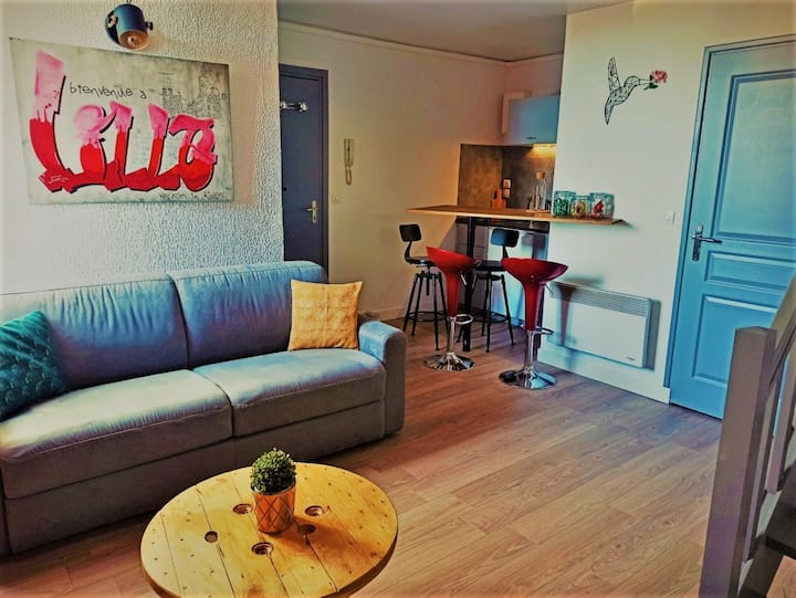 Duplex Cosy Place République - Lille