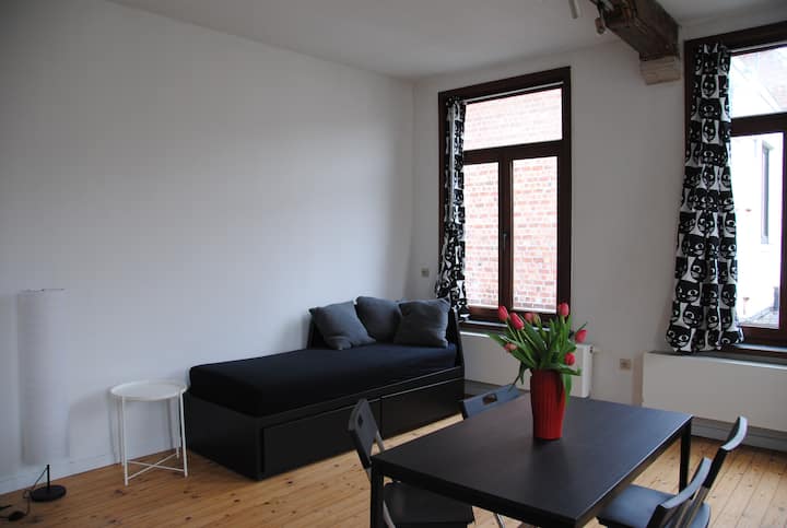 Cozy Apartment In The Historic Center - Ghent (Belgium)