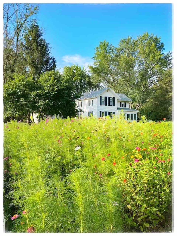 Leonidas Township : locations de vacances et logements - Michigan ...