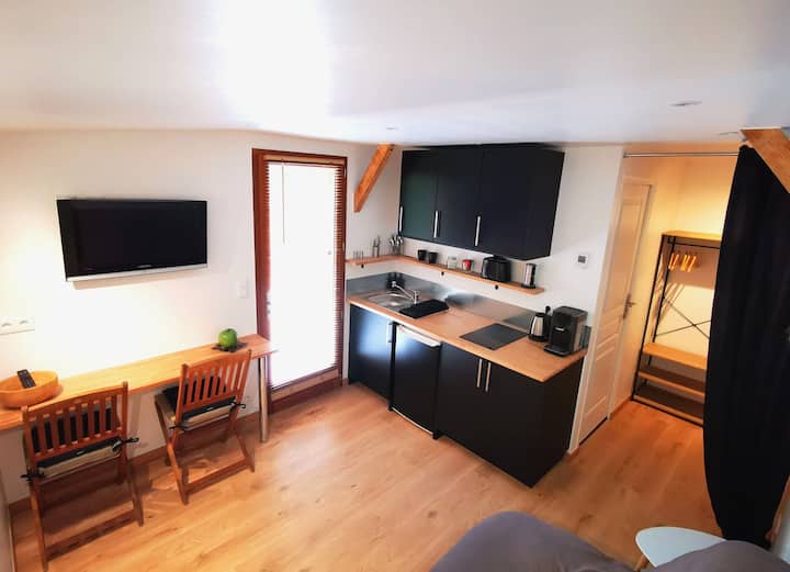 Studio à 100 Mètres De La Plage. - Talloires-Montmin