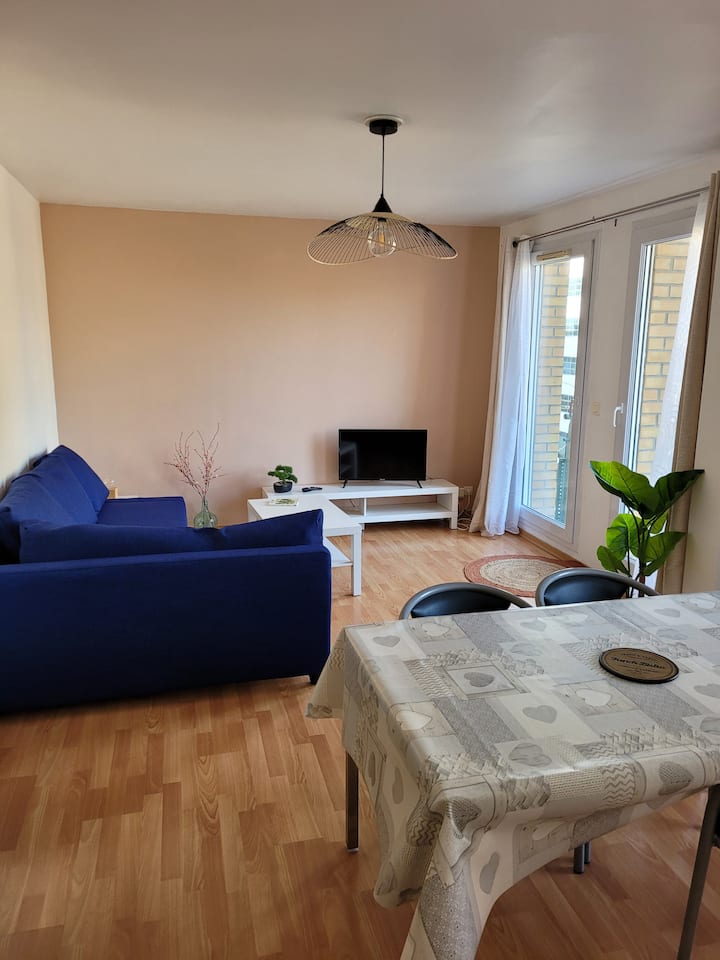 Lille Centre /Gares - Superbe Appartement. - Lille
