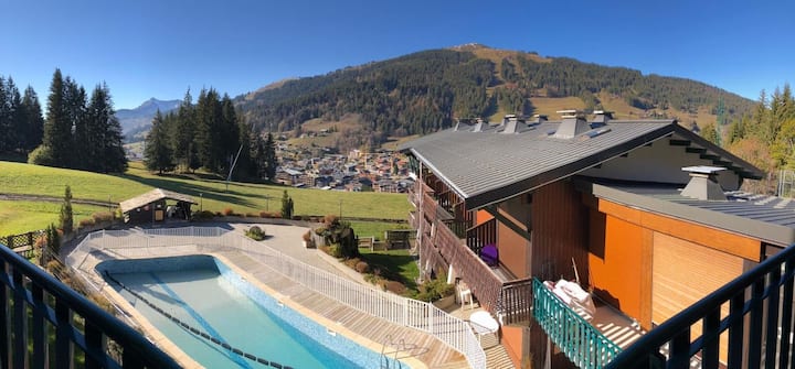 Charmant Studio Situé Au Pied Des Pistes - Les Gets