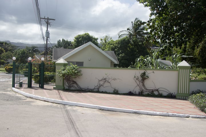Village Green- In The Little Village - Jamaica