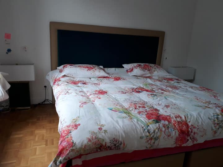 Luxury Apartment Next To The River - Saint-Maur-des-Fossés