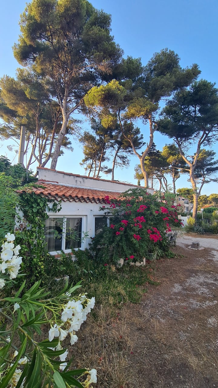Maison Au Bord De La Mer - Carry-le-Rouet