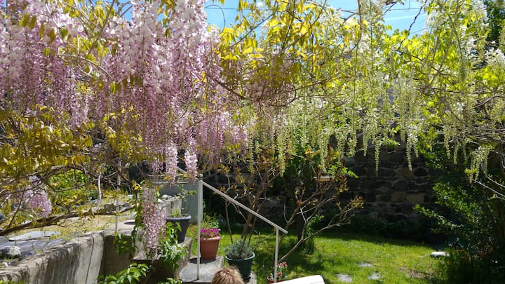 F3 Meublé Les Giroflées - Le Puy-en-Velay