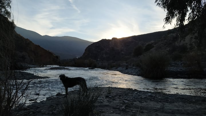 Breathtaking Secluded Alpujarran Eco Farm - Órgiva