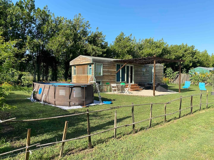 Gîte à La Ferme Chaleureux En Pleine Nature - Saint-Rémy-de-Provence