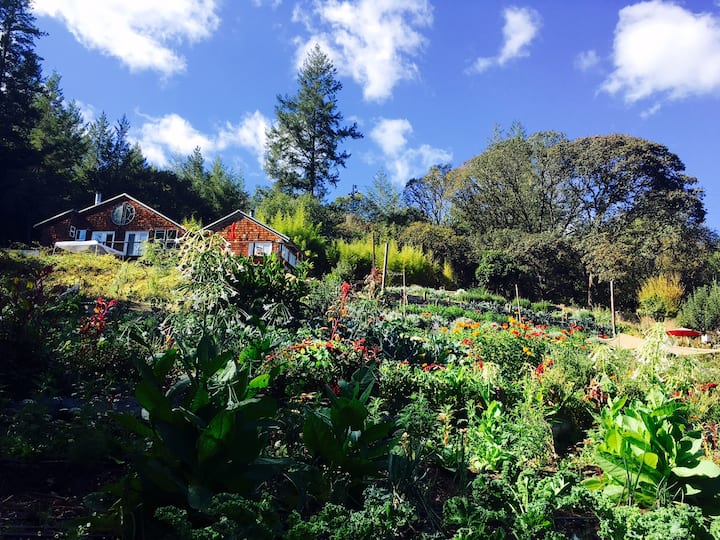Foxhole Farm Retreat, Main House - Occidental, CA