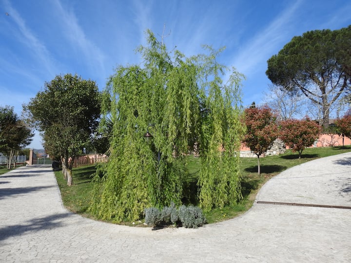 Cozy Tourist Accommodation - Fiano Romano