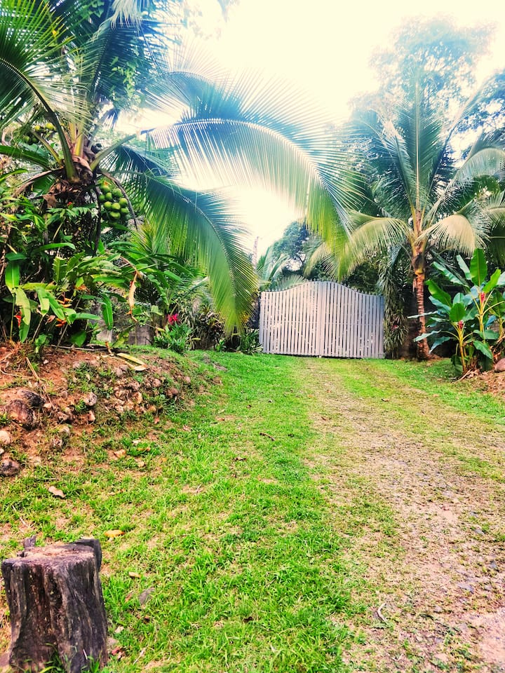 The Jungle House - Heredia Province