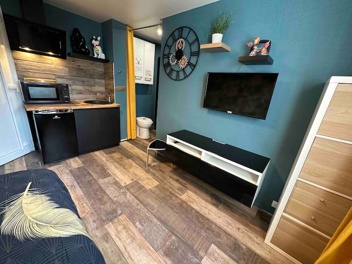 Charmant Studio - Besançon