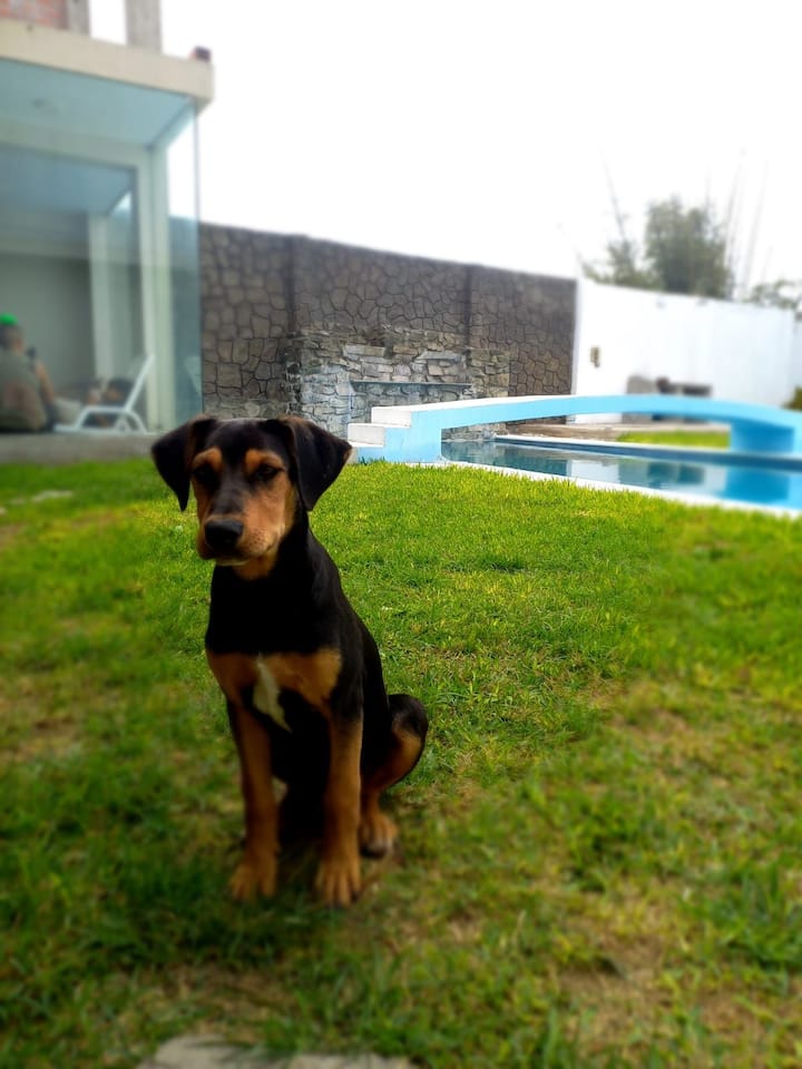 Chancay
Casa De Playa 
Con Piscina/playa - Chancay