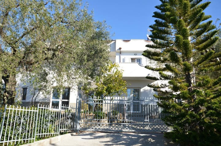 Casa Vacanze Caprioli-palinuro - Centola