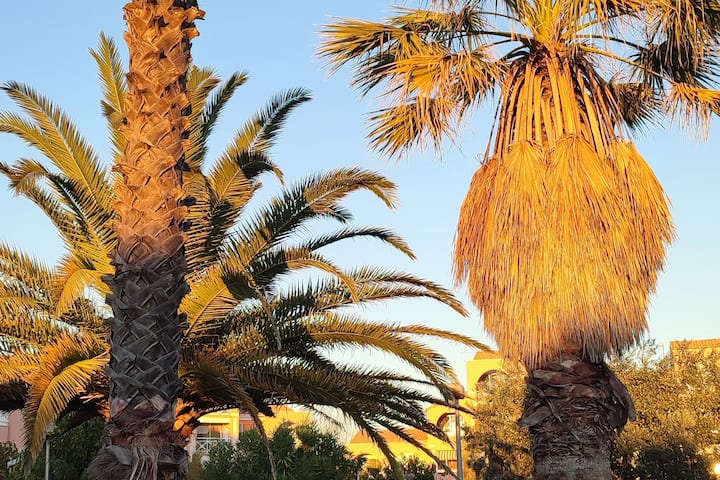 Superbe Appartement à Palavas Les Flots - Palavas-les-Flots