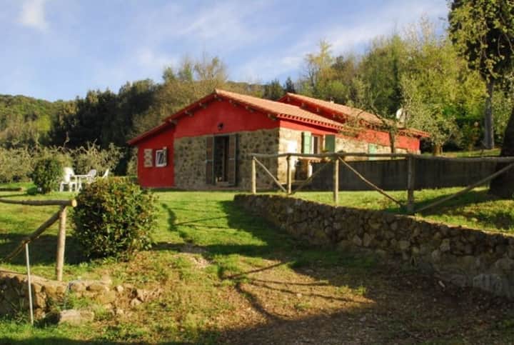 Podere Sant'emilio - Tuscany