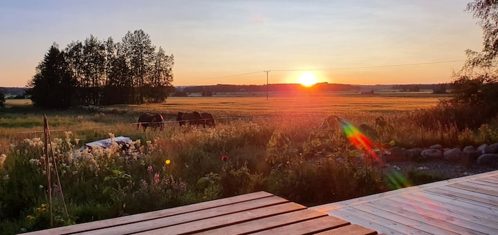 Loppis & Vandrarhem I Naturreservat - Umeå