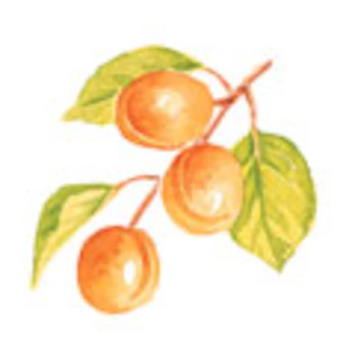 Appartement Plus Disponible - Le Locle